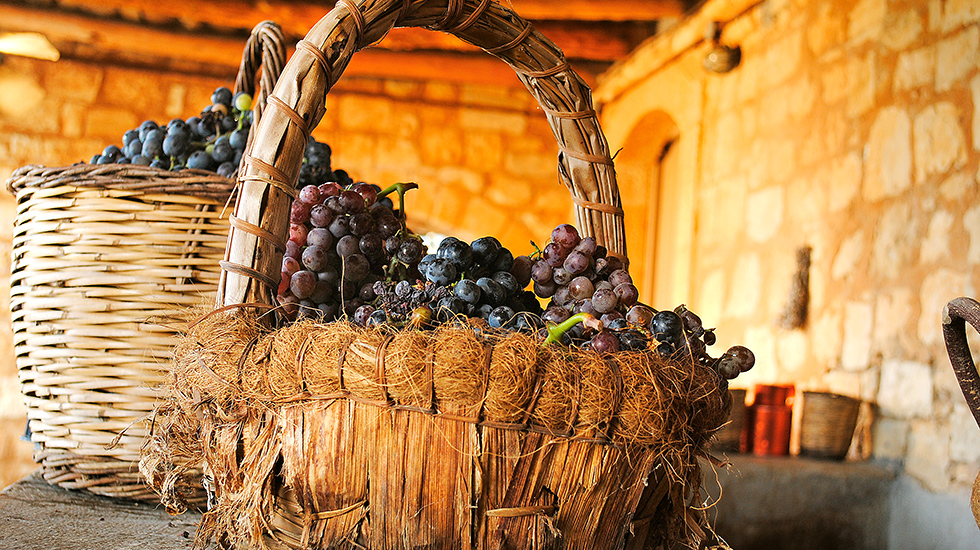 Harving Holidays in Crete | Agreco Farming Activities Crete