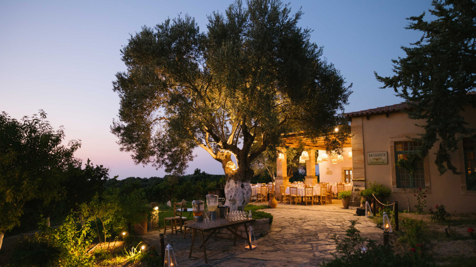 Traditional Organic Farming in Crete - Agreco Farm